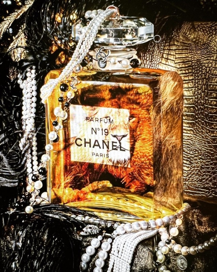 Claudia van der Starre - THE TRANSPARANT LION 150 x 100 cm ...